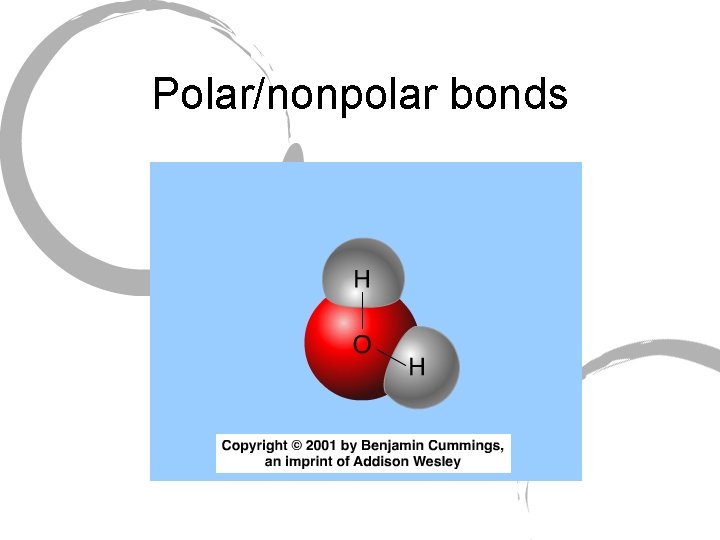 AP Biology Ch 2 Chemical Context of Life