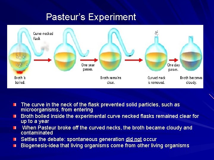 The Origin of Life Bio Genesis Redis Experiment