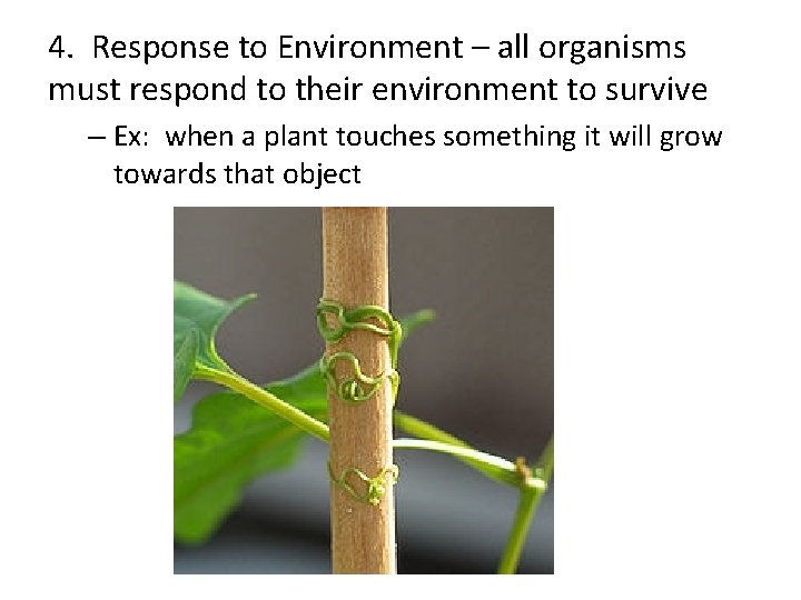 Chapter 1 Biodiversity The variety of life in