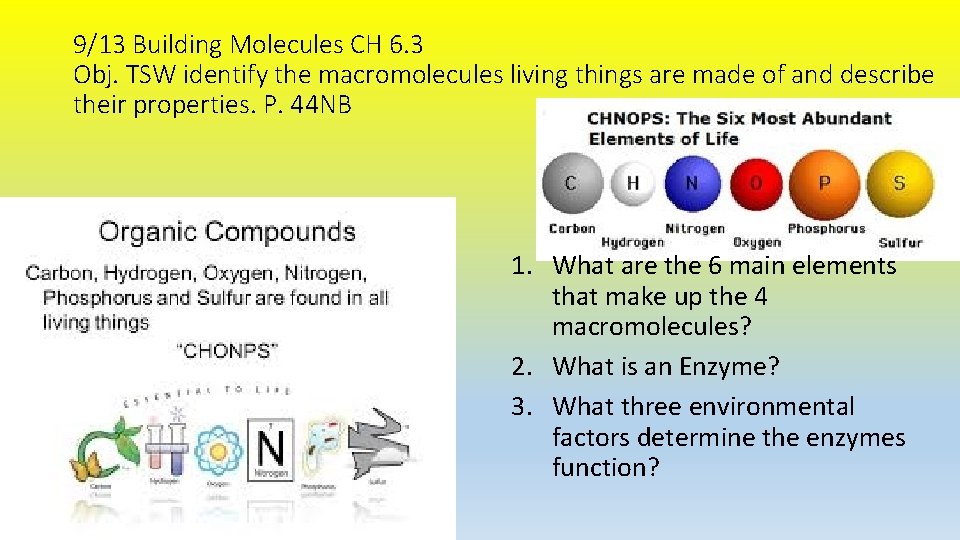 Biology UNIT 2 Energy 911 How does Carbon