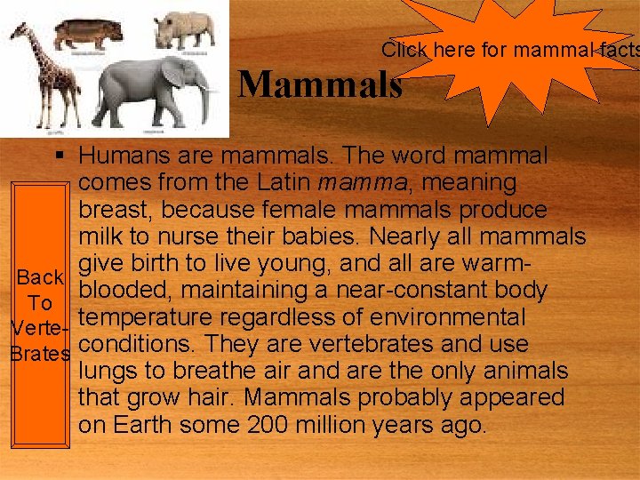 Vertebrates and Invertebrates By the Vidster Vertebrates Vertebrates
