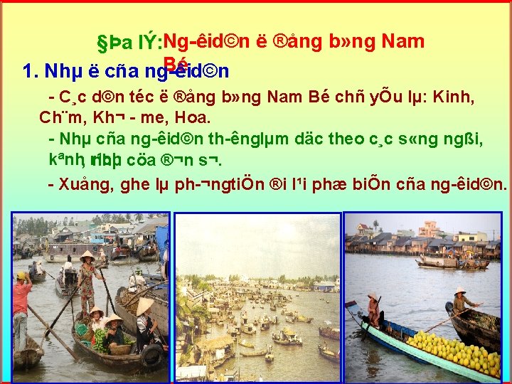 a l Ng idn ng b ng Nam