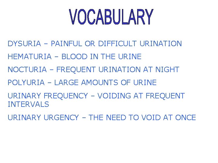 Anatomy of the Urinary System VOCABULARY INCONTINENCE THE