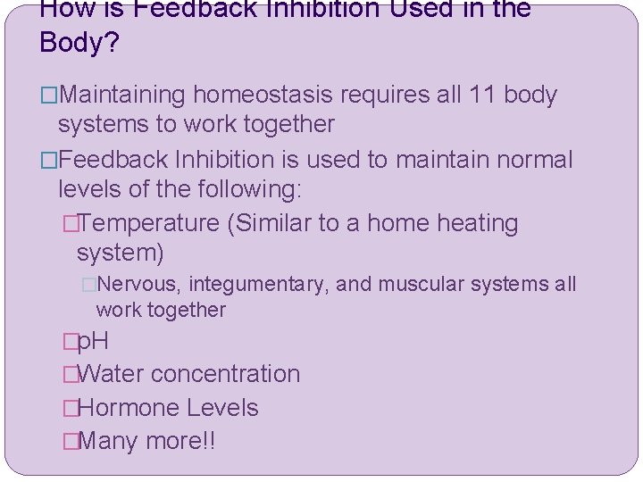 Human Body Systems Chapter 35 1 Organization of