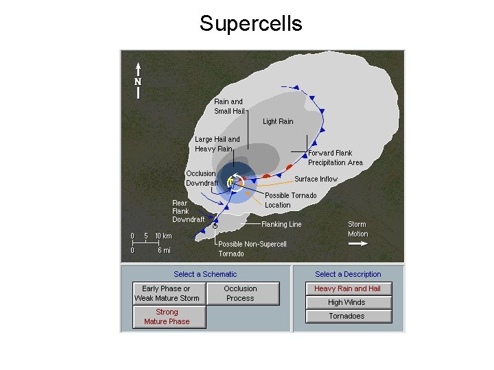 Deep Convection Conceptual Models Based on Physical Processes