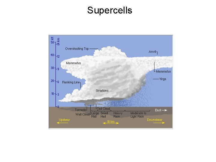 Deep Convection Conceptual Models Based on Physical Processes