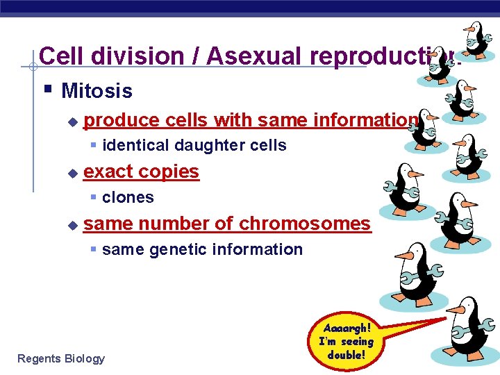 Meiosis Sexual Reproduction Regents Biology 2006 2007 Cell