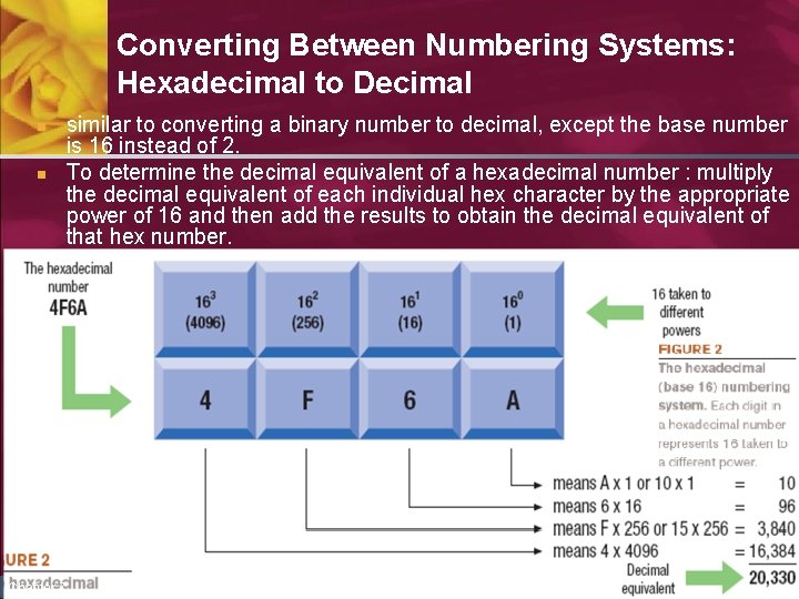 11 th Edition TODAY AND TOMORROW Numbering System