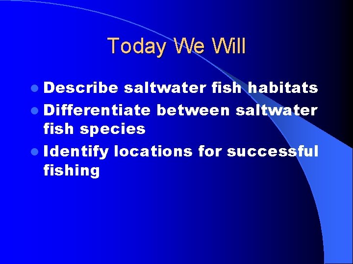 Saltwater Fish Species Identification Mr Robinson Today We