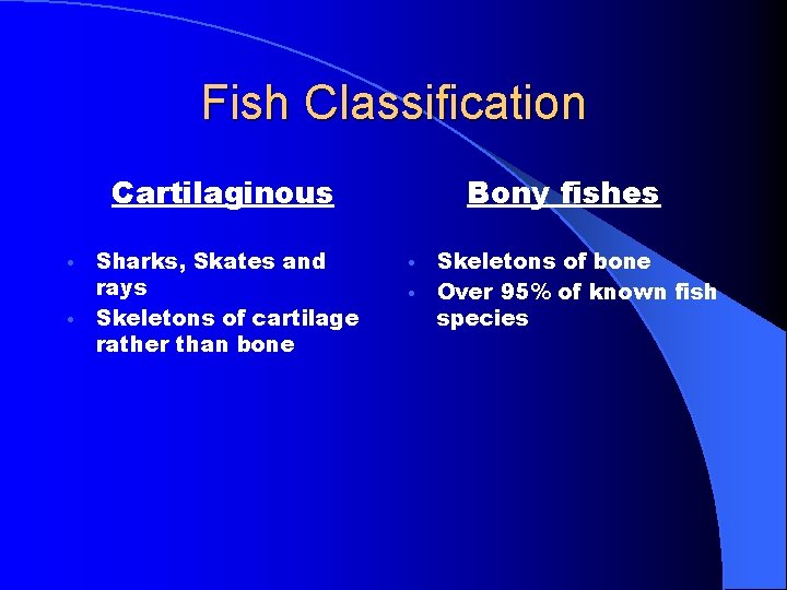 Saltwater Fish Species Identification Mr Robinson Today We