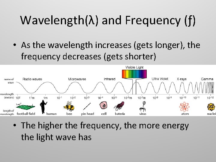 The Electromagnetic Spectrum Behavior of Light All light