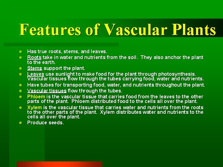 Kingdom Plantae A Vascular System Enables Plants to