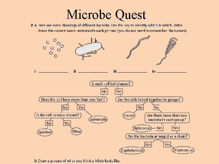 Microbes and Disease S 2 Science Outcomes and