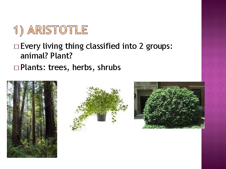 CLASSIFICATIONBIO Process in understanding how organisms are related