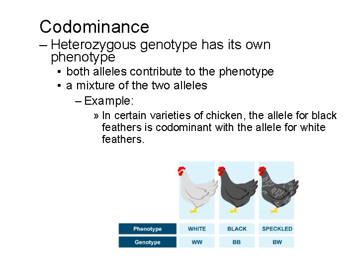 Beyond Dominant and Recessive Alleles Some alleles are