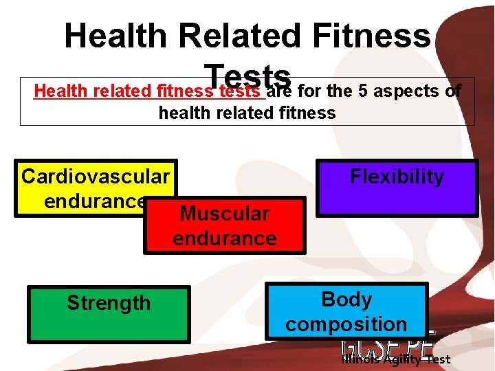 Topic 4 Fitness Testing Training Learning Objectives Ch