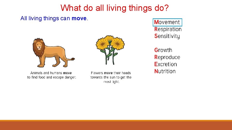 Living Things and Their Habitats LESSON 1 CAN