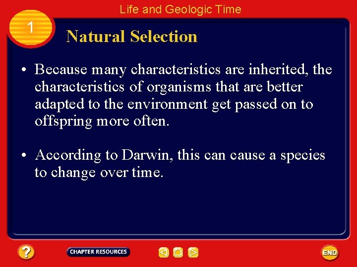 Table of Contents Chapter Geologic Time Section 1
