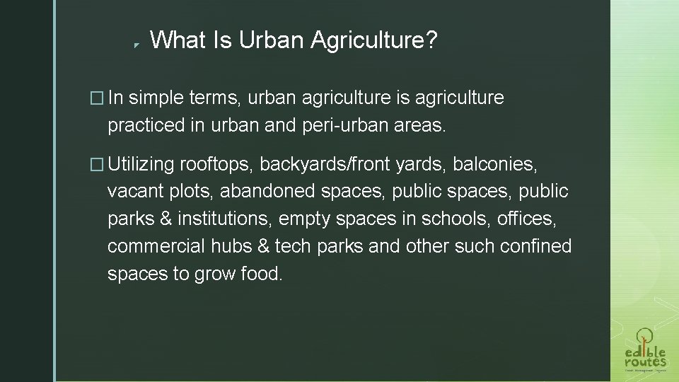 Exploring the world of Urban Agriculture Finding Roots