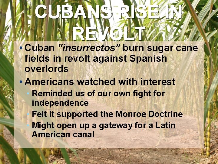 TROUBLE IN CUBA THE SPANISHAMERICAN WAR CUBANS RISE