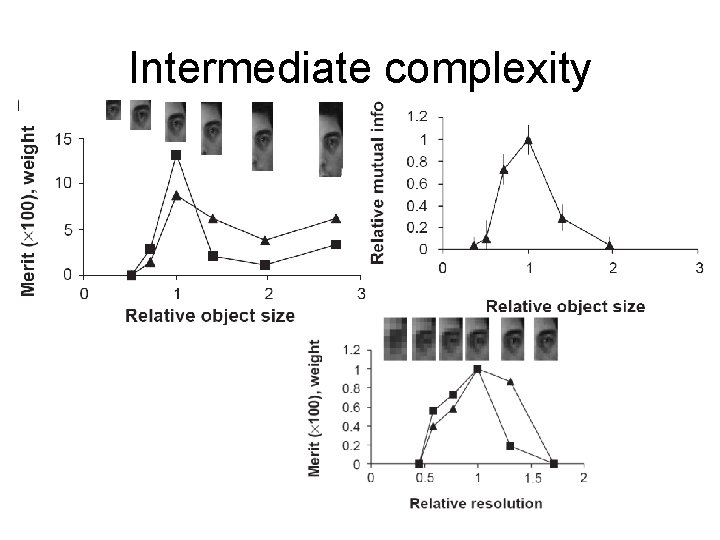 Object Recognition with Informative Features and Linear Classification