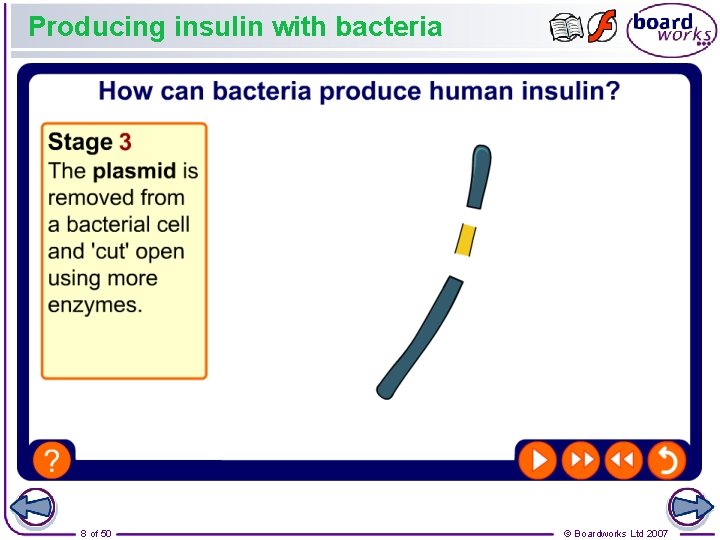National 5 Cell Biology Genetic Engineering We are