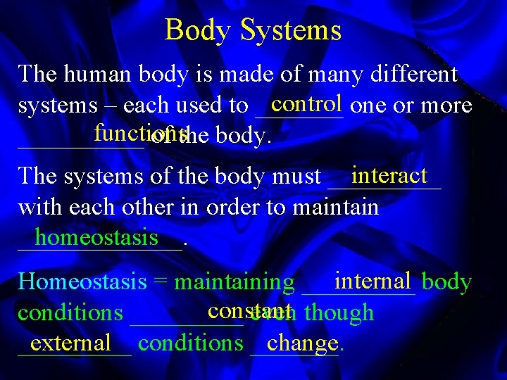 Human Body Systems Body Organization Our bodies are