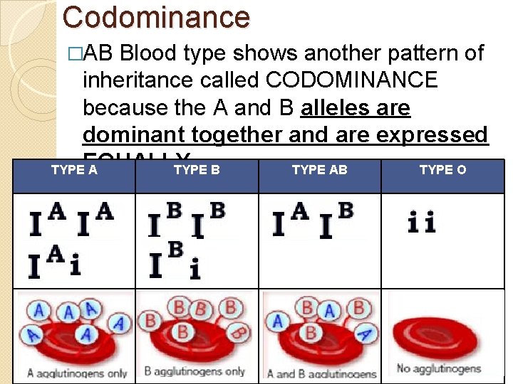 BIO Agenda Turn in WS from FRI to