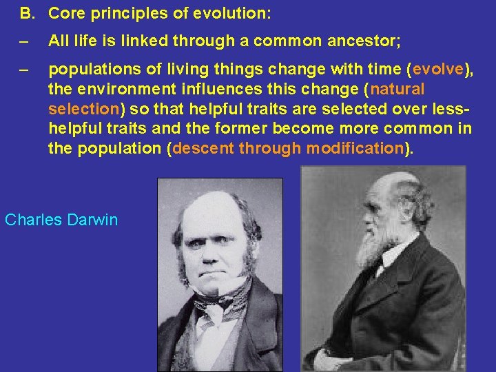 Earliest known bird the Archaeopteryx Charles Darwin Evolutionary