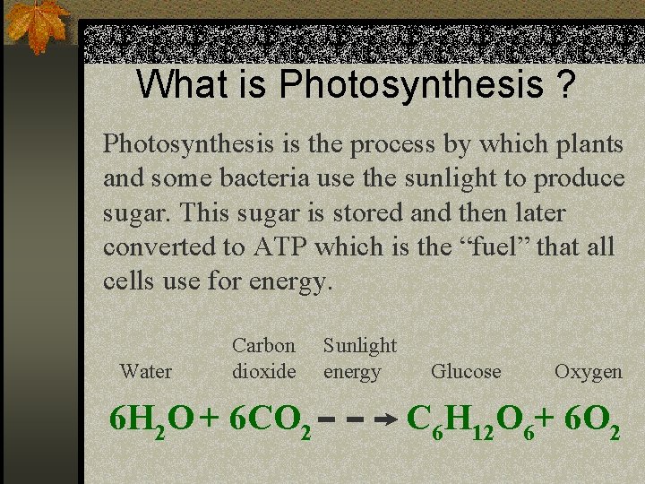 What is Photosynthesis Photosynthesis is the process by