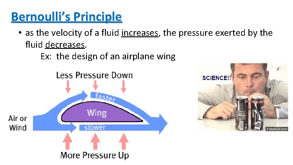 Fluids Behavior of Liquids and Gases 14 2