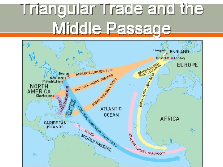 The Slave Trade and the Middle Passage Bell
