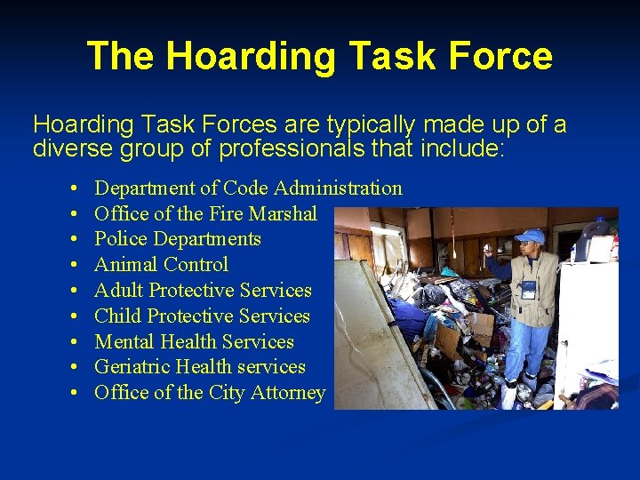 HOARDING Tackling the Broader Issues The Task Force