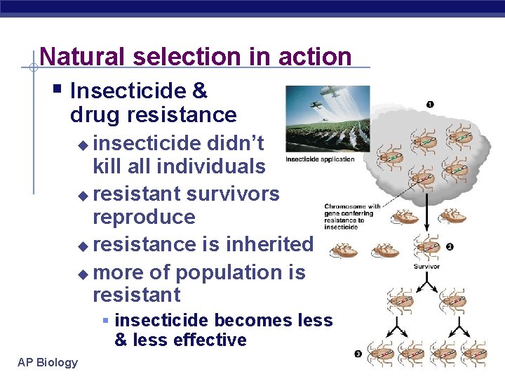 Evidence of Evolution by Natural Selection Testable Hypotheses