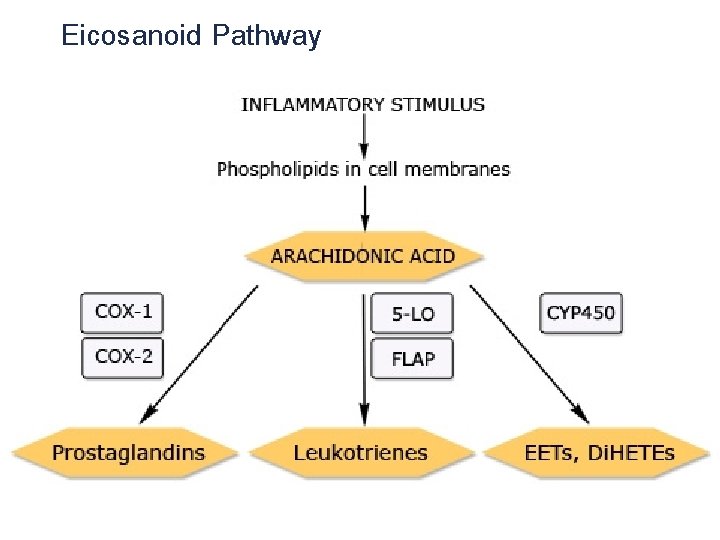 Basic and Metabolism of Lipid Donrawee Leelarungrayub BSc