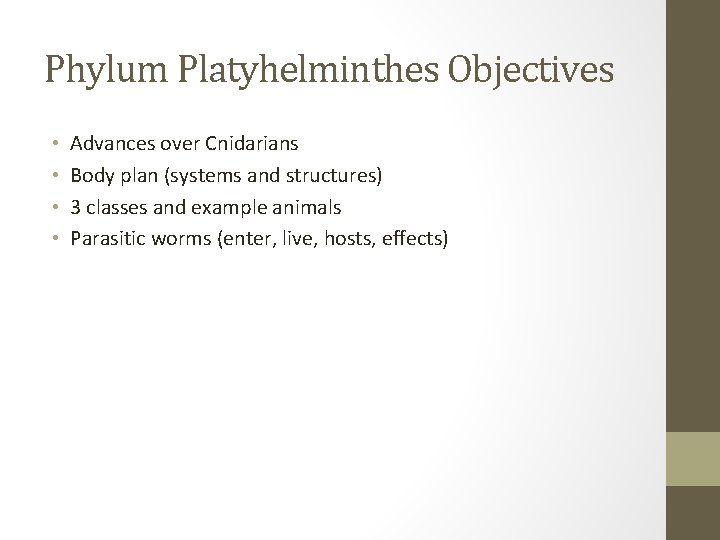 Biology 11 Kingdom Animalia Phylum Platyhelminthes The Flatworms