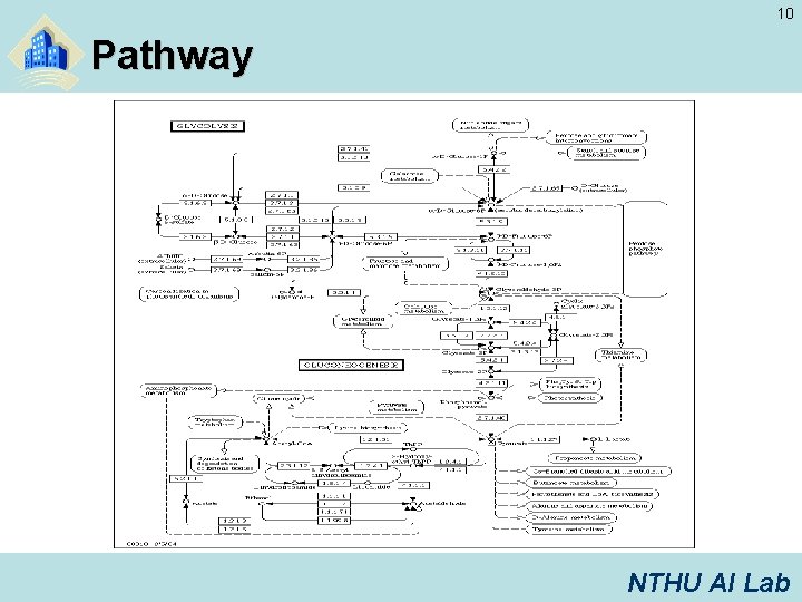 1 Systems Biology Presentation Ontologybased Quantitative Simulation of