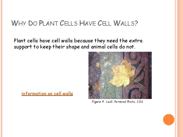 8 th Grade Biology Figure 1 Flower Personal