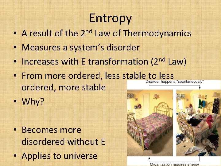 Chapter 4 Pt 1 How Cells Obtain Energy