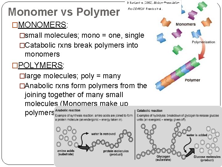 Biochemistry Standard B3 The student will demonstrate an