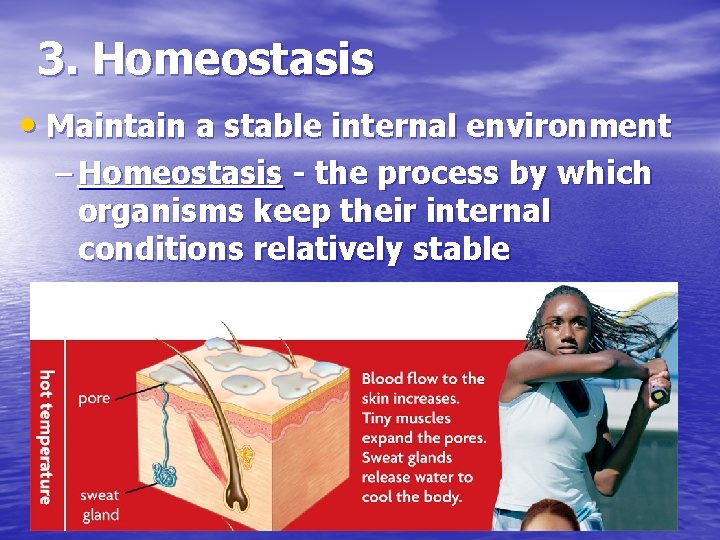 Characteristics of Living Things Biology is a branch