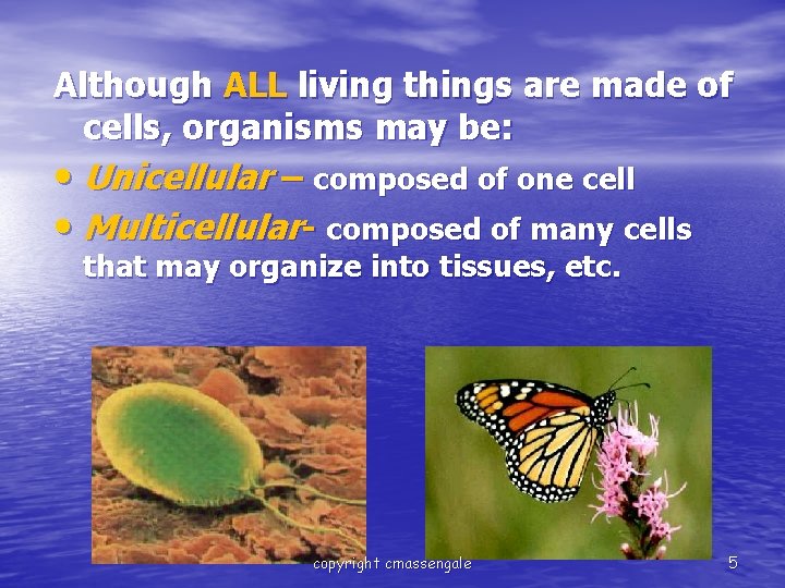 Characteristics of Living Things Biology is a branch