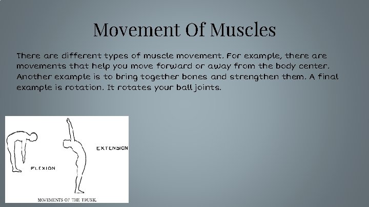 The Muscular System By Mr Bergs 6 th