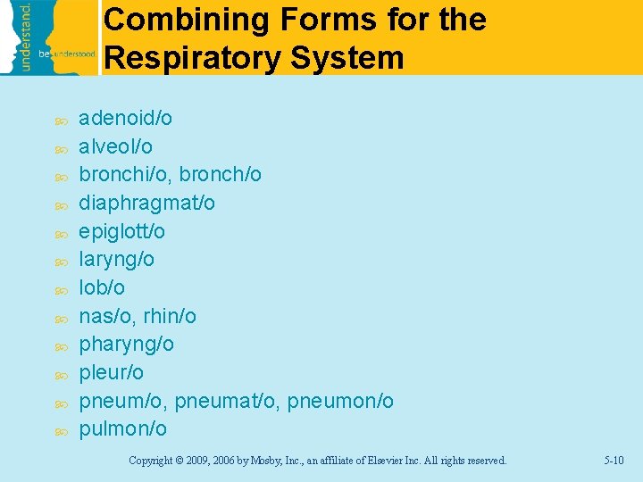 Chapter 5 Respiratory System Copyright 2009 2006 by