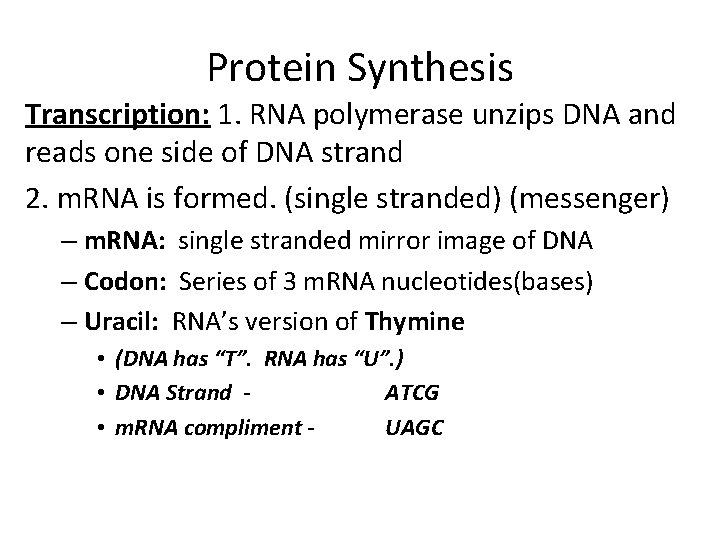 Bell Ringer Name the organelles 1 Digests waste