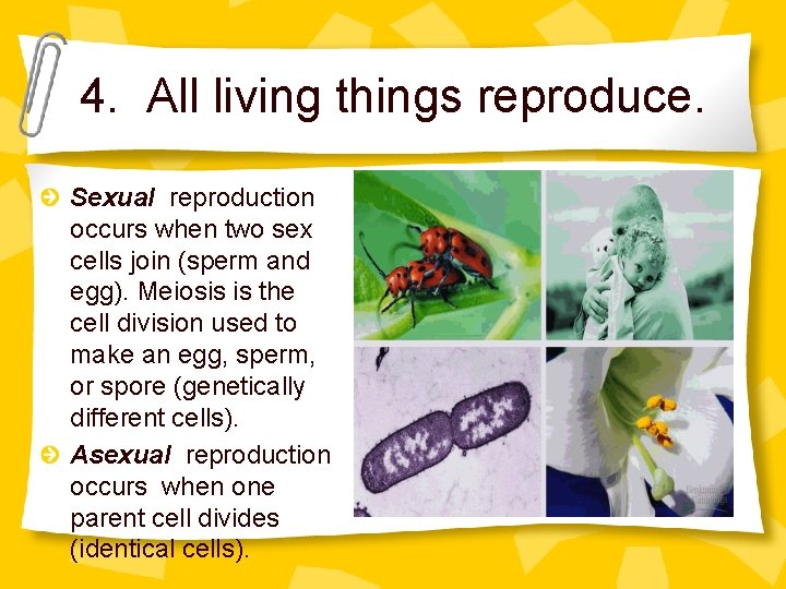 What is biology Biology is the study of