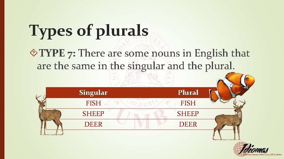 There are two Plural nouns Class objectives Learning