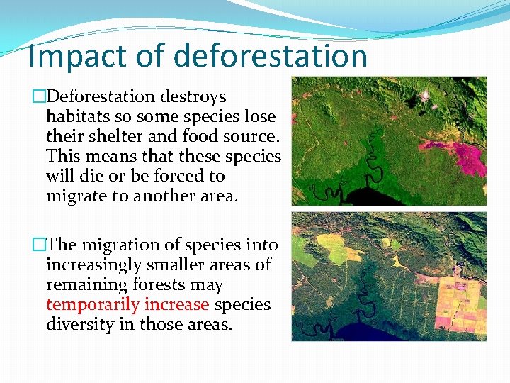 Biodiversity 17 2 Species diversity and human activities