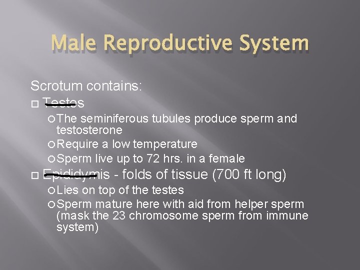 HUMAN BODY SYSTEMS The Reproductive System Human reproductive