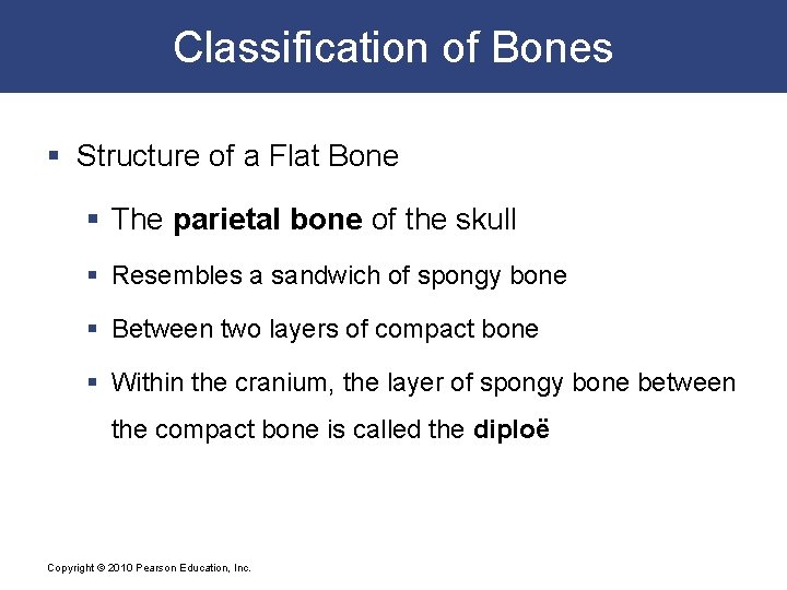 Chapter 6 Osseous Tissue and Bone Structure Power